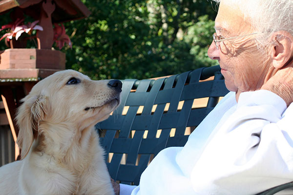 Pets Provide Comfort and Companionship for Elderly | LTC News